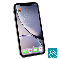 Survey Plus Teardown of the Apple iPhone XR A2105 Smartphone | TechInsights